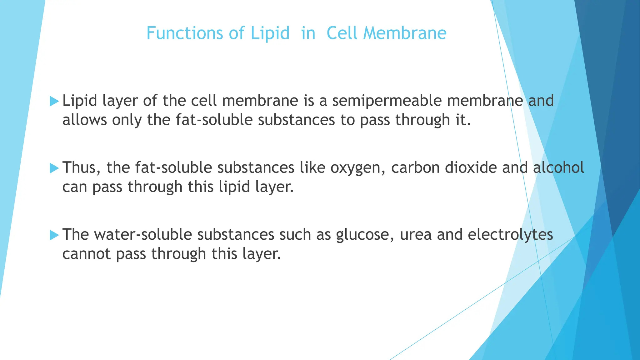 HMP01 02Membrane structure of excitable cell (1).pdf