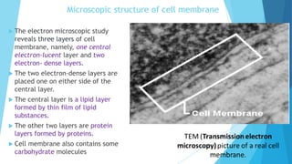 HMP01 02Membrane structure of excitable cell (1).pdf