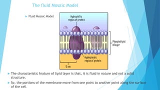 HMP01 02Membrane structure of excitable cell (1).pdf