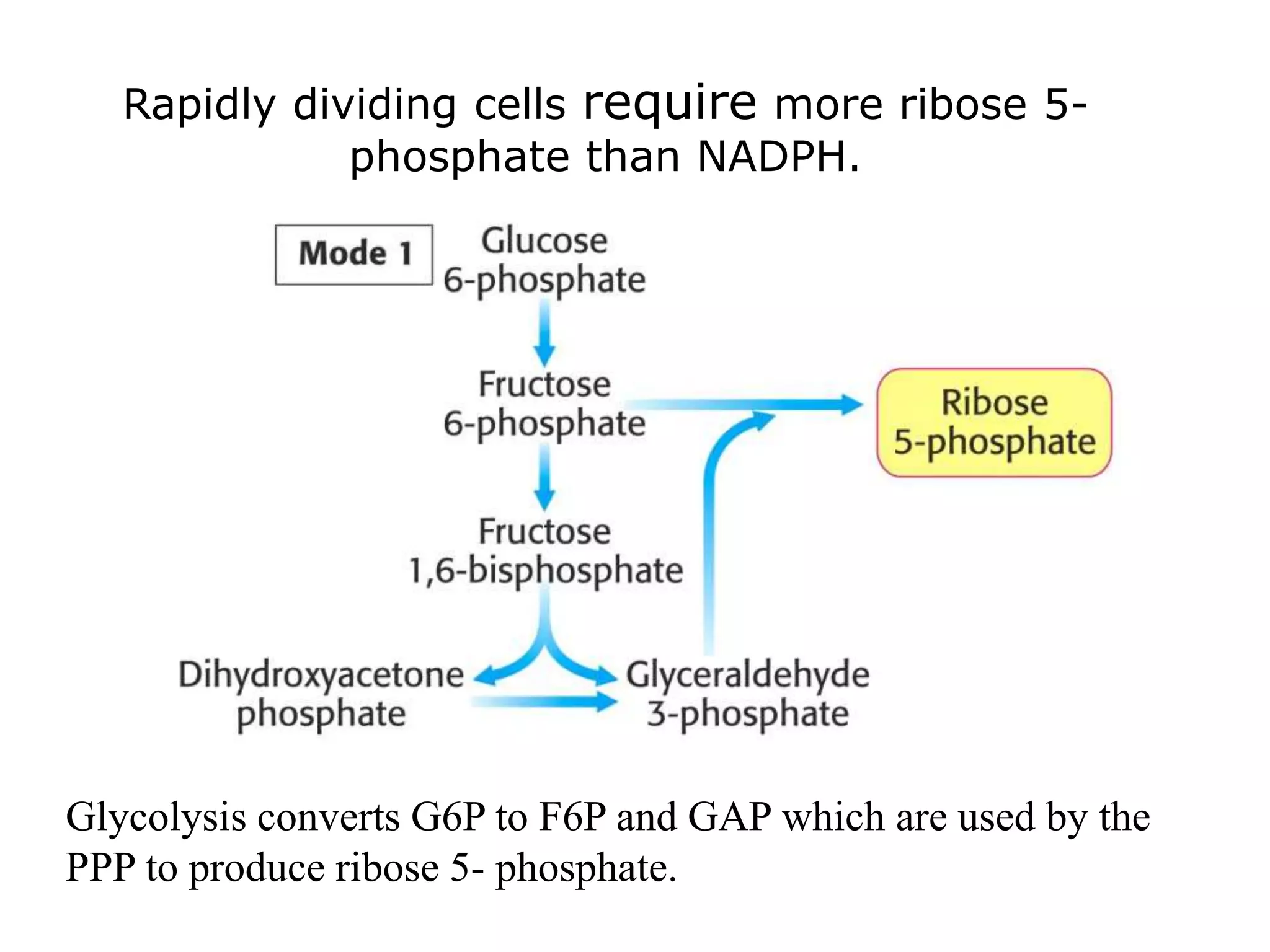 Hexose Monophosphate Shunt Pathway - HMP Pathway | PPT