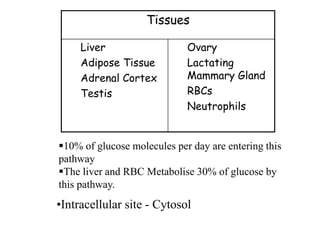 Hexose Monophosphate Shunt Pathway - HMP Pathway | PPT