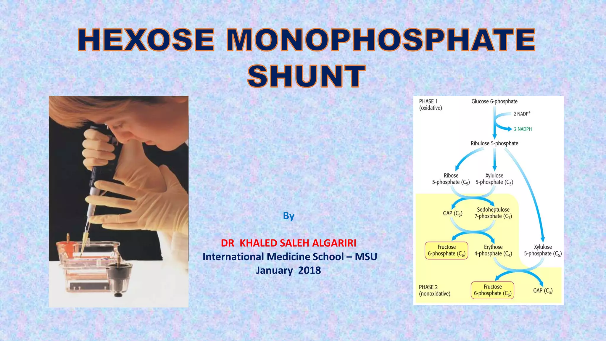 HEXOSE MONOPHOSPHATE SHUNT | PPTX | Endocrine and Metabolic Diseases ...