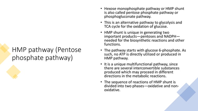 Hmp pathway | PPT