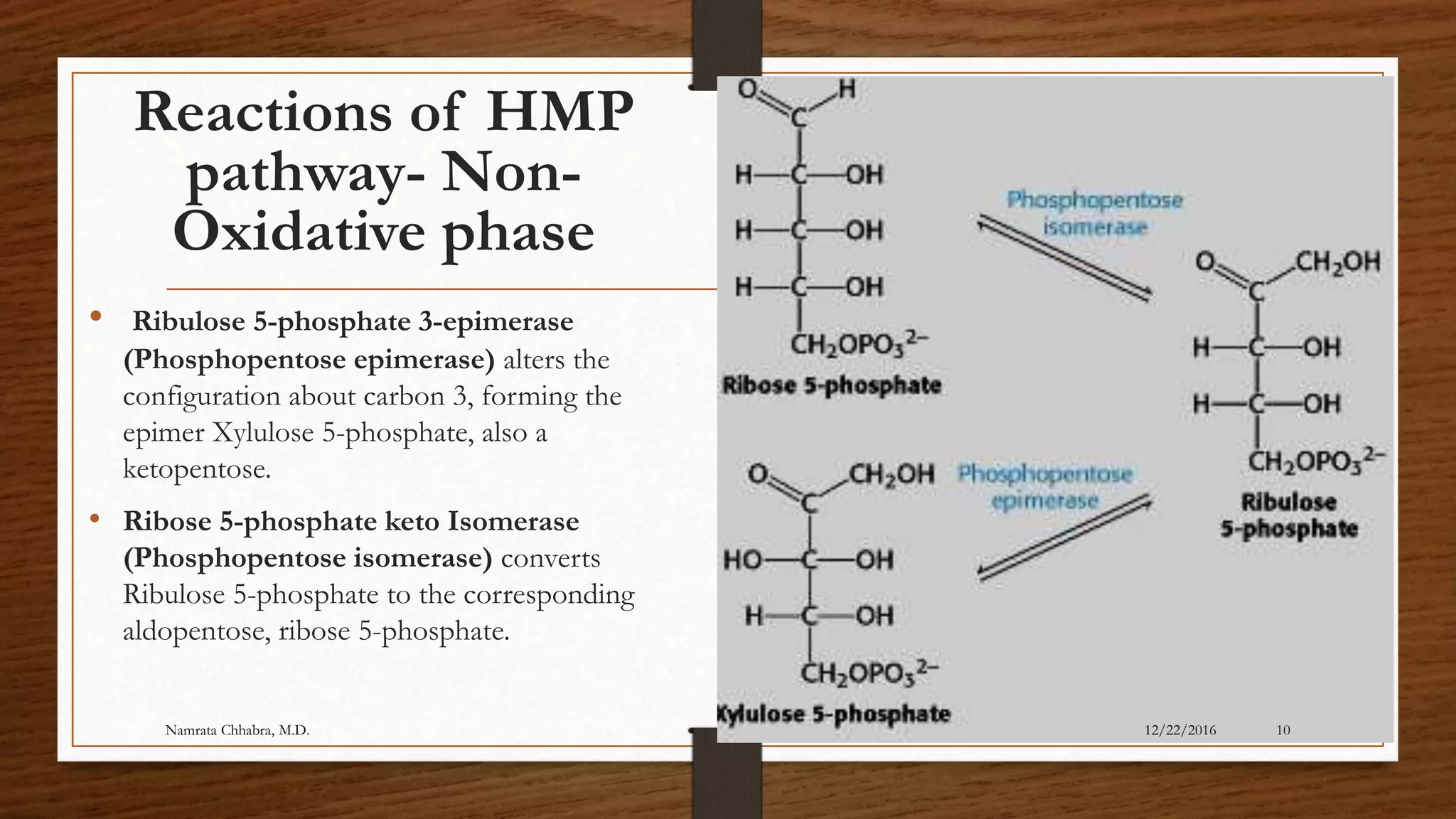 HMP Pathway- A Quick Revision | PPTX