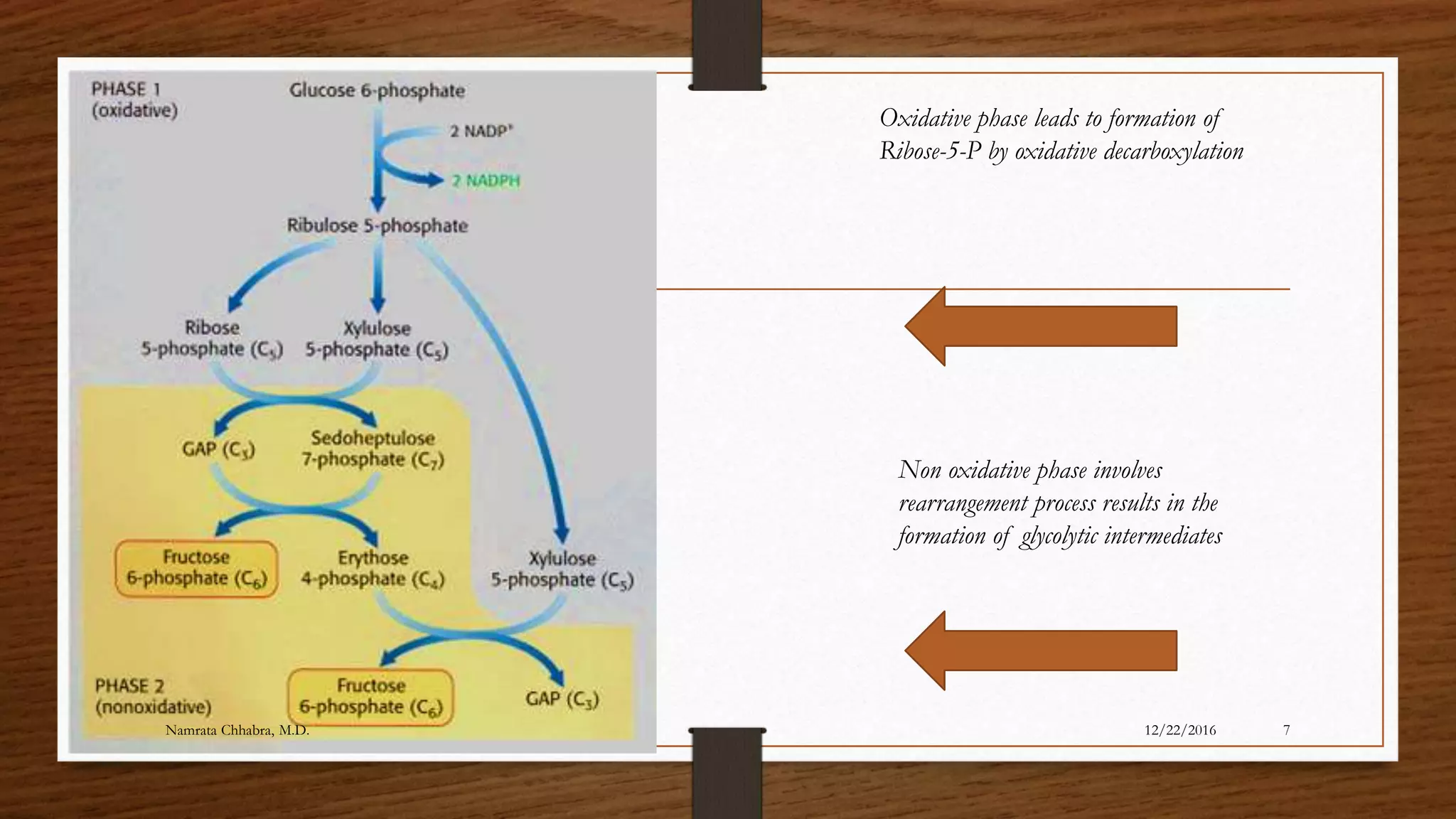 HMP Pathway- A Quick Revision | PPTX