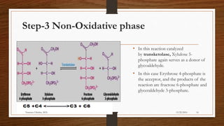 HMP Pathway- A Quick Revision | PPTX