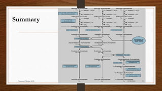 HMP Pathway- A Quick Revision | PPT