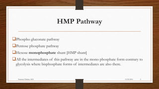HMP Pathway- A Quick Revision | PPT