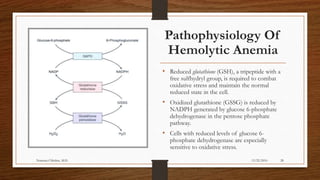 HMP Pathway- A Quick Revision | PPTX