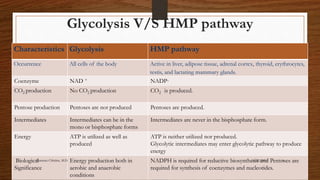 HMP Pathway- A Quick Revision | PPT