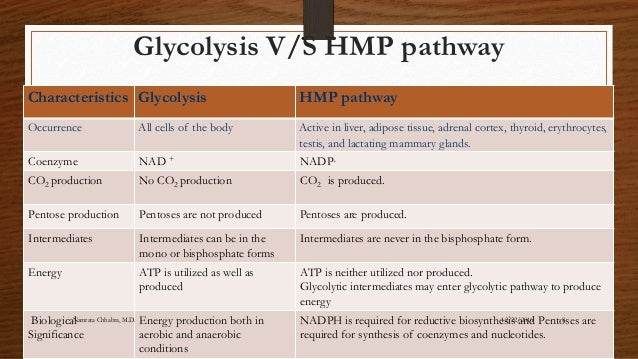 HMP Pathway- A Quick Revision