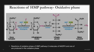 HMP pathway and its significance. Biochemistry. pptx | PPTX