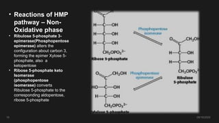 HMP pathway and its significance. Biochemistry. pptx | PPTX