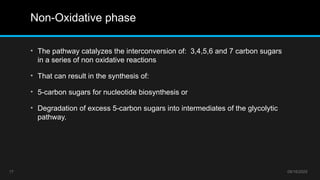 HMP pathway and its significance. Biochemistry. pptx | PPTX