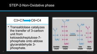 HMP pathway and its significance. Biochemistry. pptx | PPTX