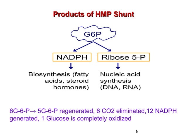 Hmp shunt | PPT | Endocrine and Metabolic Diseases | Diseases and ...