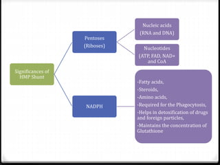 Hmp shunt | PPTX | Endocrine and Metabolic Diseases | Diseases and ...