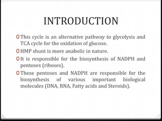 Hmp shunt | PPTX | Endocrine and Metabolic Diseases | Diseases and ...