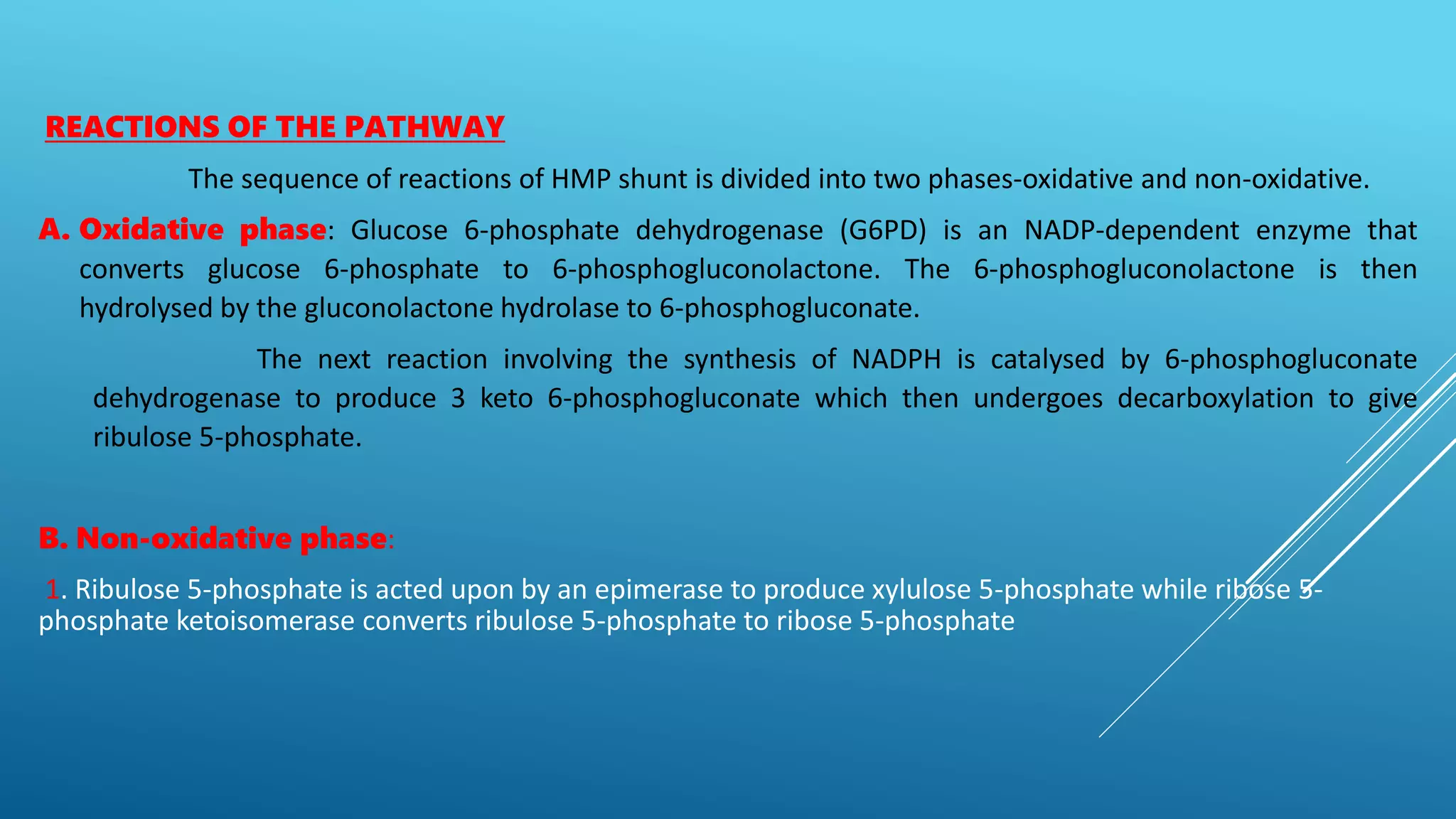 Hmp shunt | PPTX