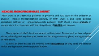 Hmp shunt | PPT