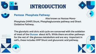 HMP Shunt by Mueez | PPTX