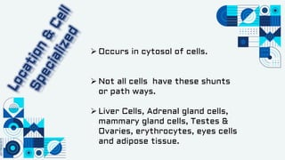 HMP Shunt by Mueez | PPTX