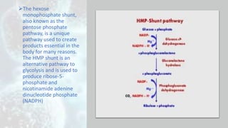 HMP SHUNT.pptx