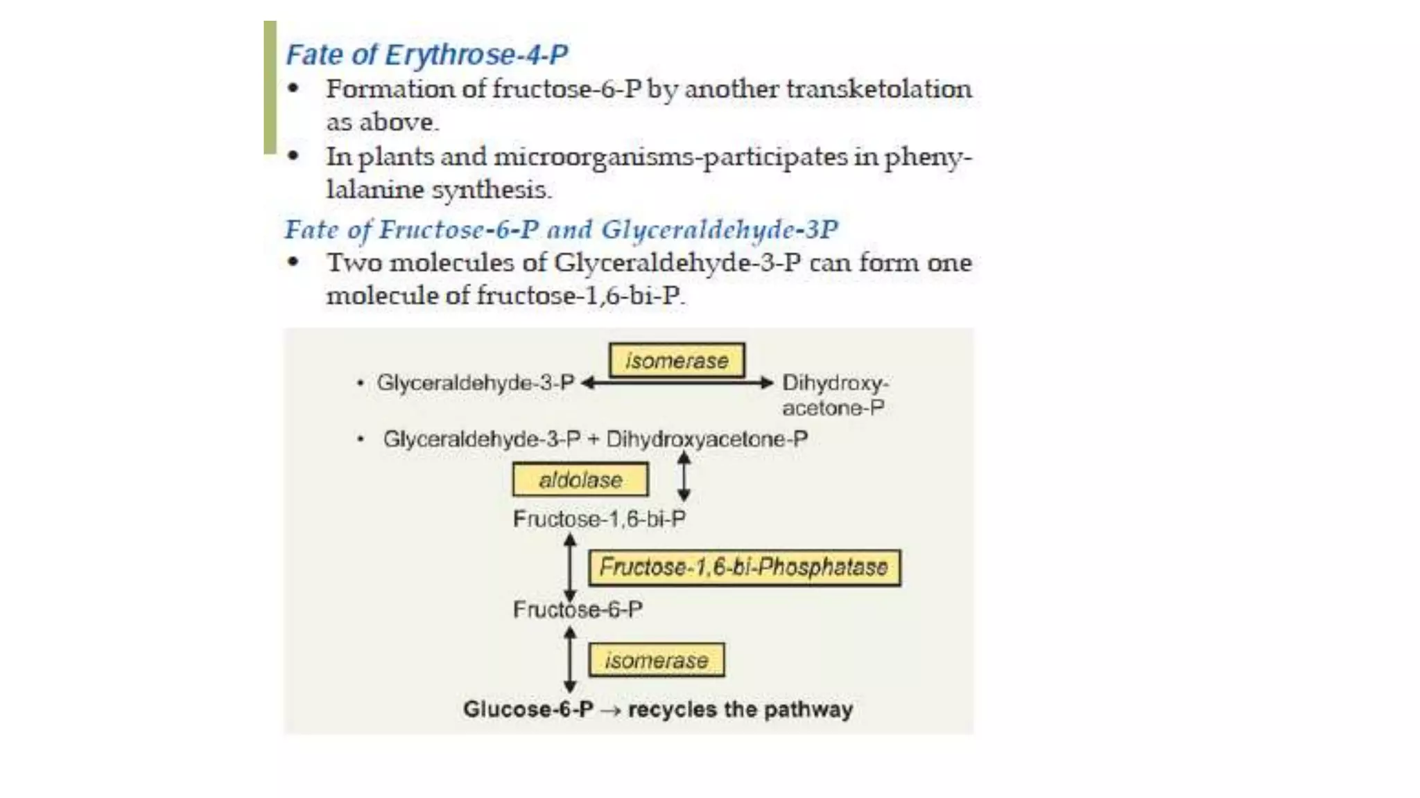 Pentose Phosphate Pathway, hmp Shunt | PPTX