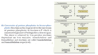 Pentose Phosphate Pathway, hmp Shunt | PPTX