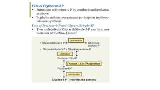 Pentose Phosphate Pathway, hmp Shunt | PPTX