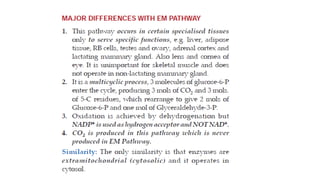 Pentose Phosphate Pathway, hmp Shunt | PPTX