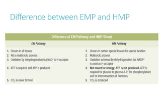 Pentose Phosphate Pathway, hmp Shunt | PPTX