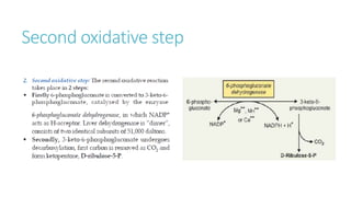 Pentose Phosphate Pathway, hmp Shunt | PPTX