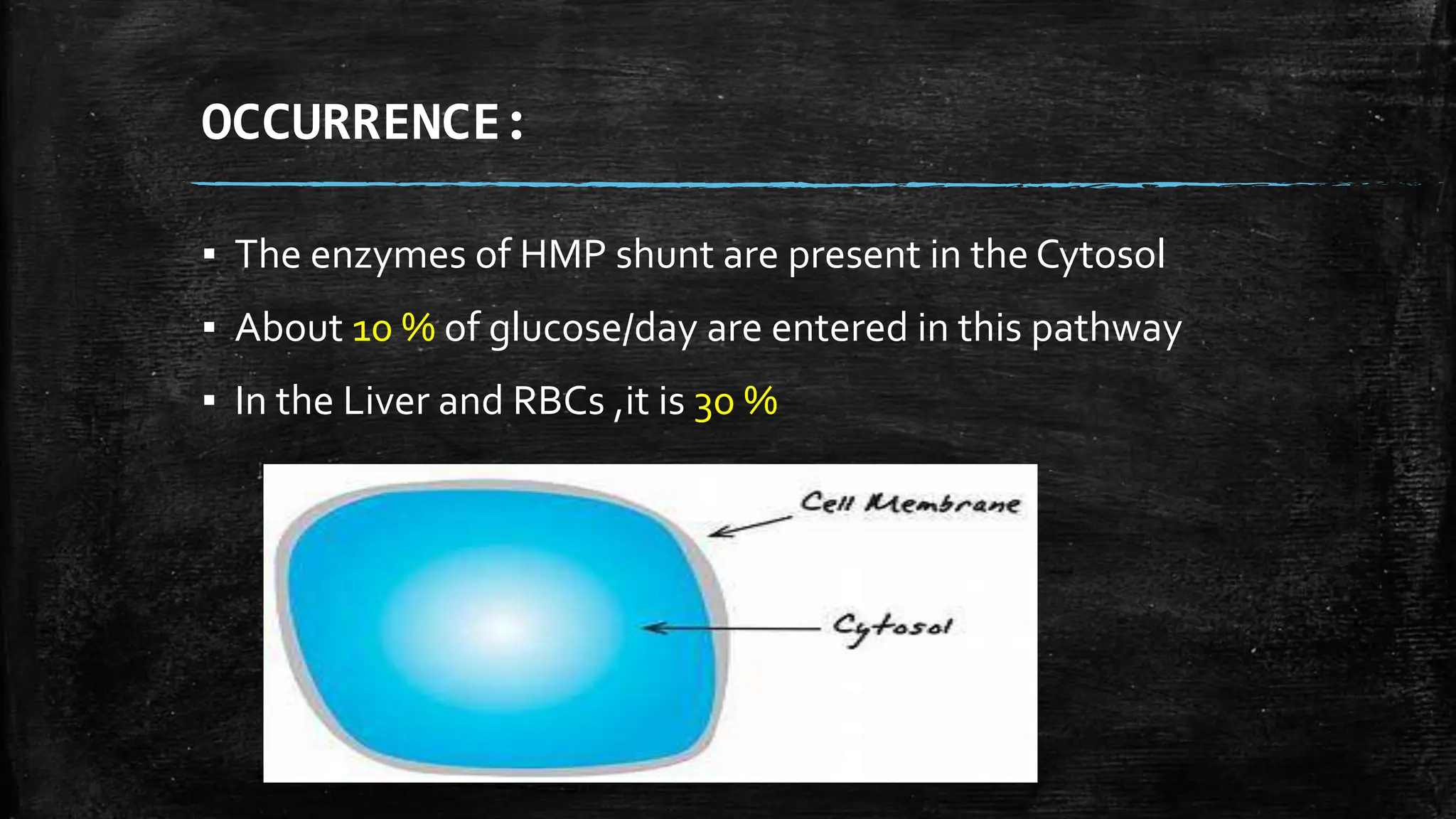 HMP SHUNT(HEXOSE MONOPHOSEPHATE PATHWAY) | PPTX