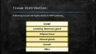 HMP SHUNT(HEXOSE MONOPHOSEPHATE PATHWAY) | PPTX