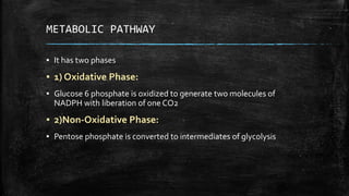 HMP SHUNT(HEXOSE MONOPHOSEPHATE PATHWAY) | PPTX