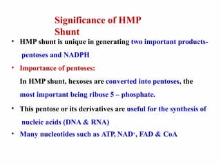 HMP Shunt.pptxhsjjsjsjhzjjzhzjzhzhsjshsh | PPTX