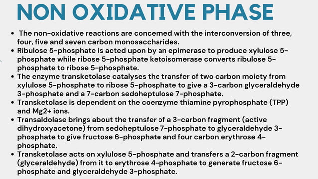 HMP SHUNT-UNIT 2.pdf,PHYSIOLOGY MICROBIAL | PPT