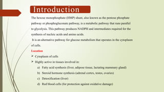 HMP SHUNT PHARMACEUTICAL BIOTECHNOLOGY BP2 | PPTX