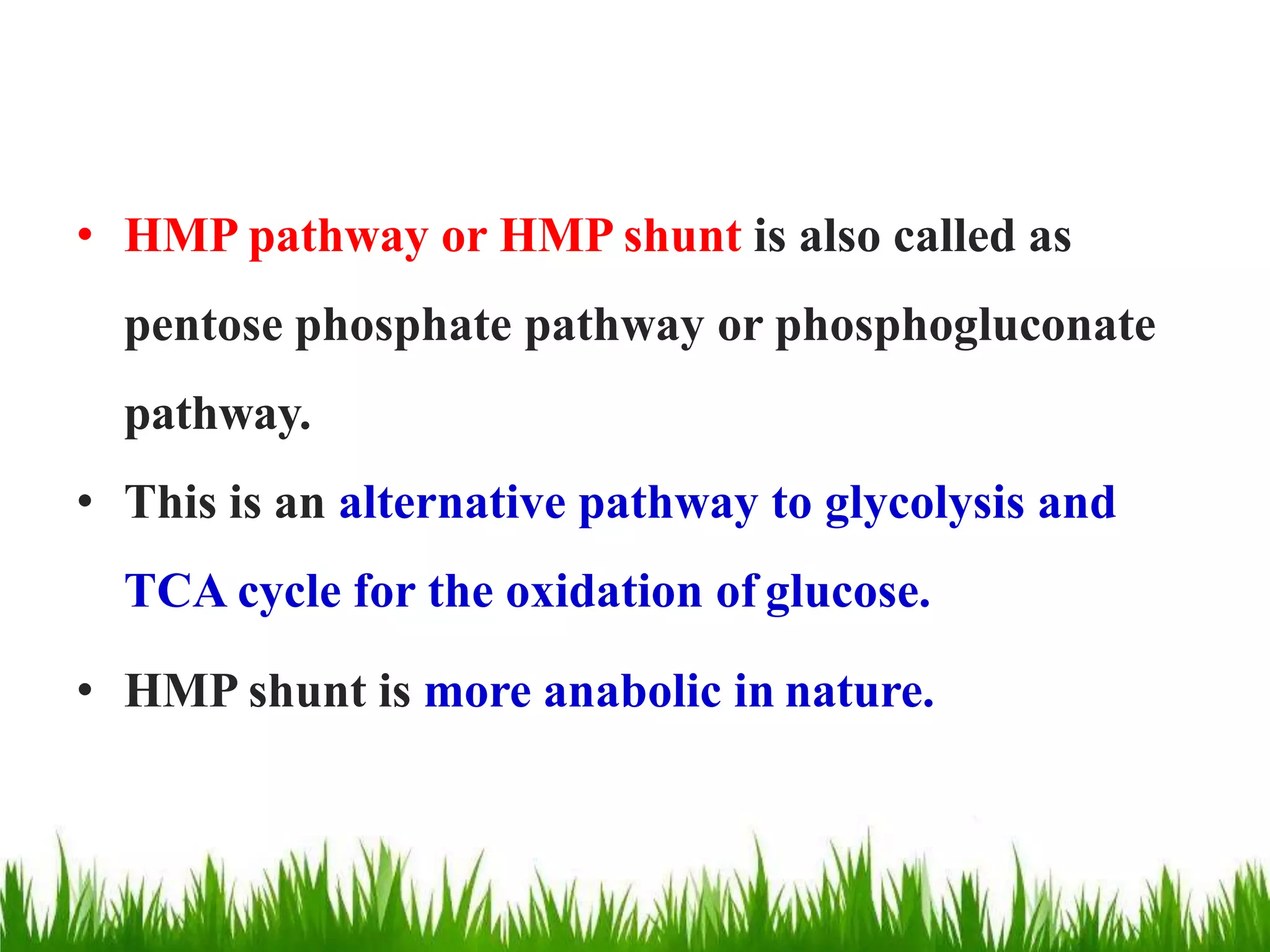 Hmp shunt pathway | PPTX