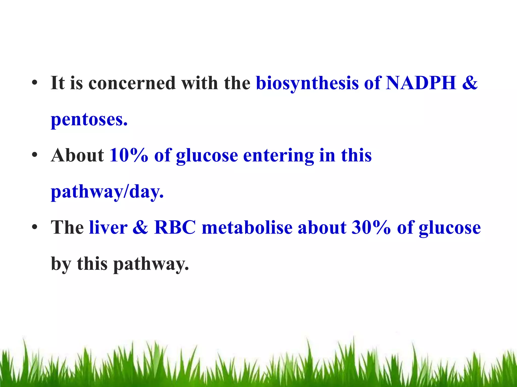 Hmp shunt pathway | PPT