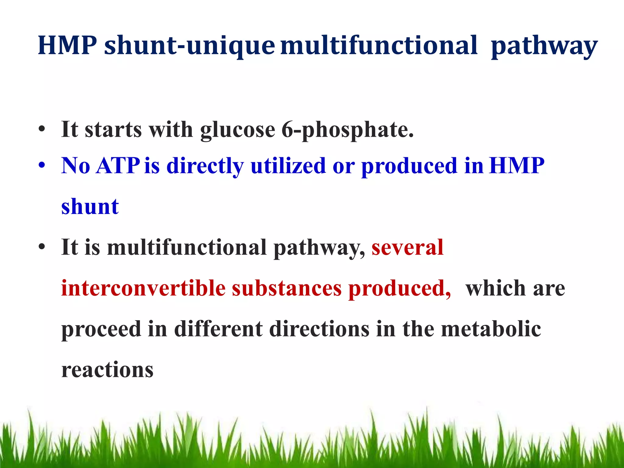Hmp shunt pathway | PPTX