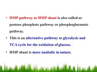 Hmp shunt pathway | PPTX