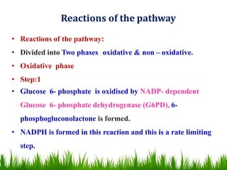 Hmp shunt pathway | PPTX