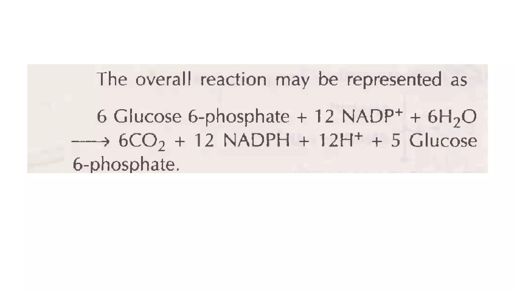 HMP shunt pathway | PDF