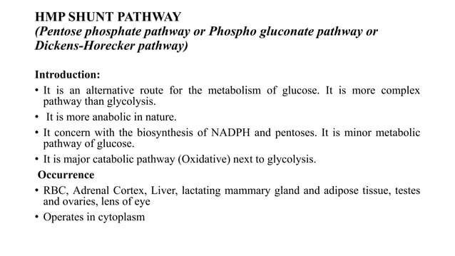 HMP shunt pathway | PDF | Endocrine and Metabolic Diseases | Diseases and Conditions