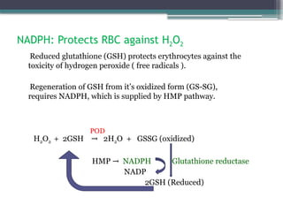 Reference material on hmp shunt pathway.pptx