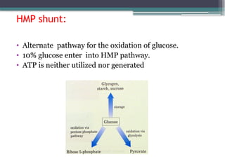 Reference material on hmp shunt pathway.pptx