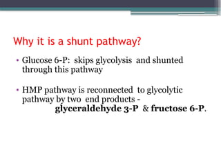 Reference material on hmp shunt pathway.pptx