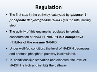 HMP Shunt & Uronic Acid PAthway | PPTX